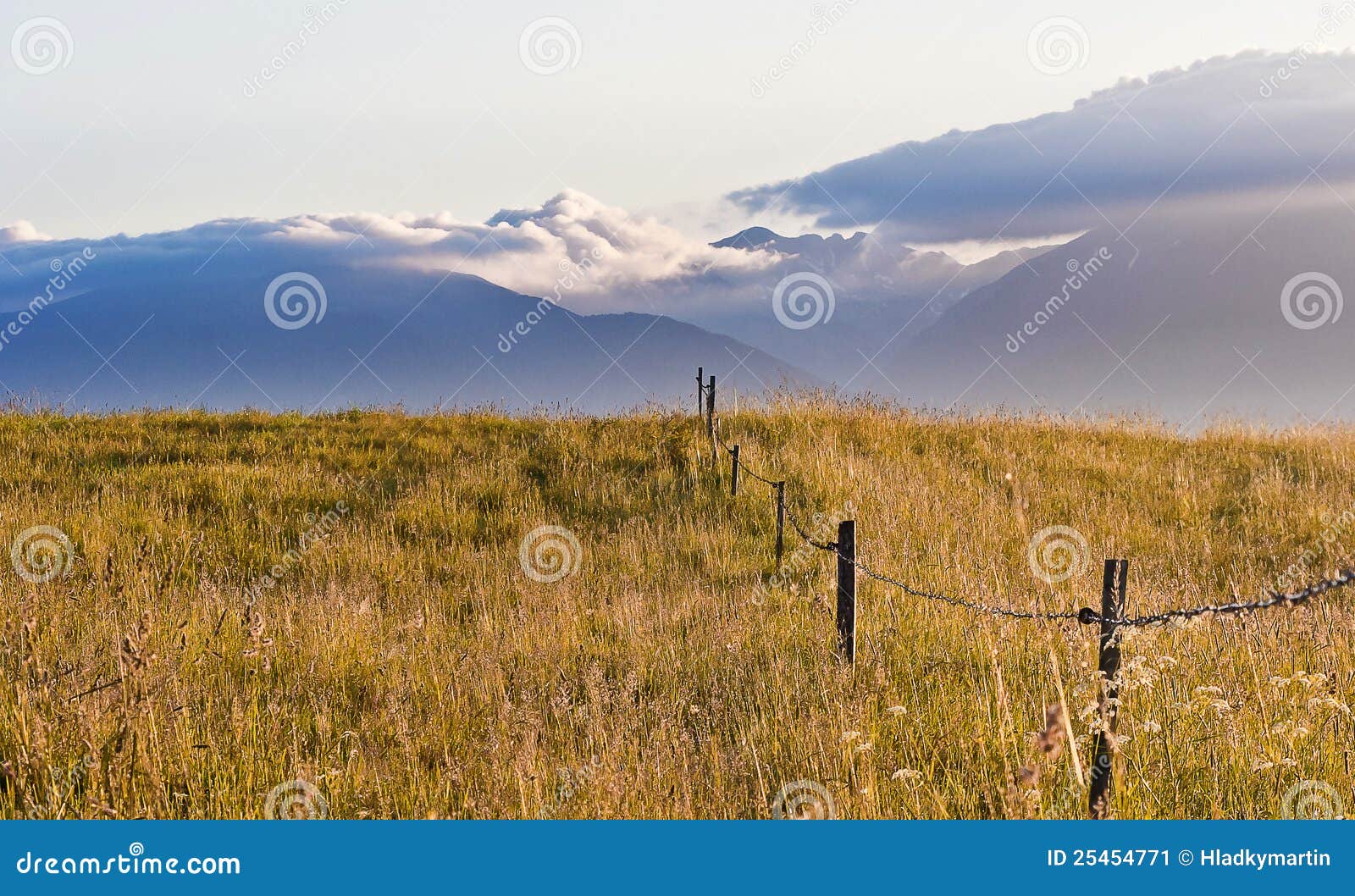 Grass land stock image. Image of land, field, pasture - 25454771