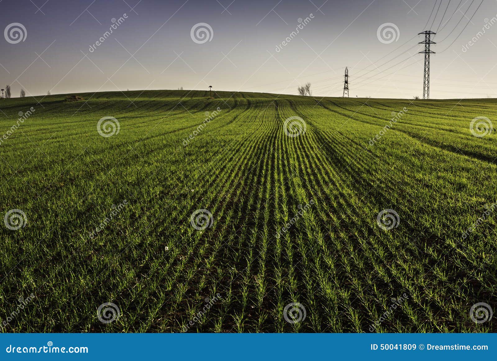 Grass land stock image. Image of beauty, outdoor, field - 50041809