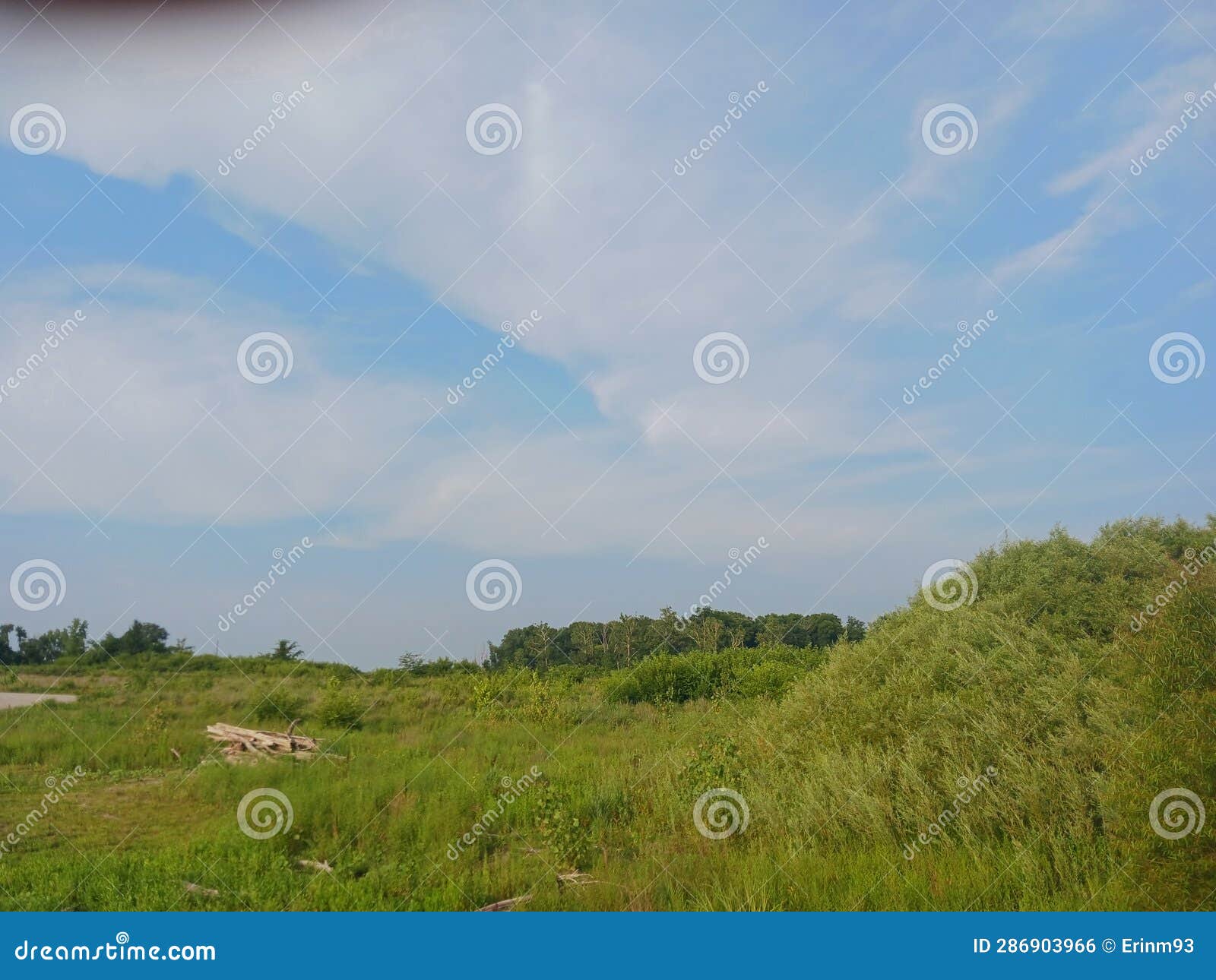 Grass land view stock photo. Image of steppe, grass - 286903966