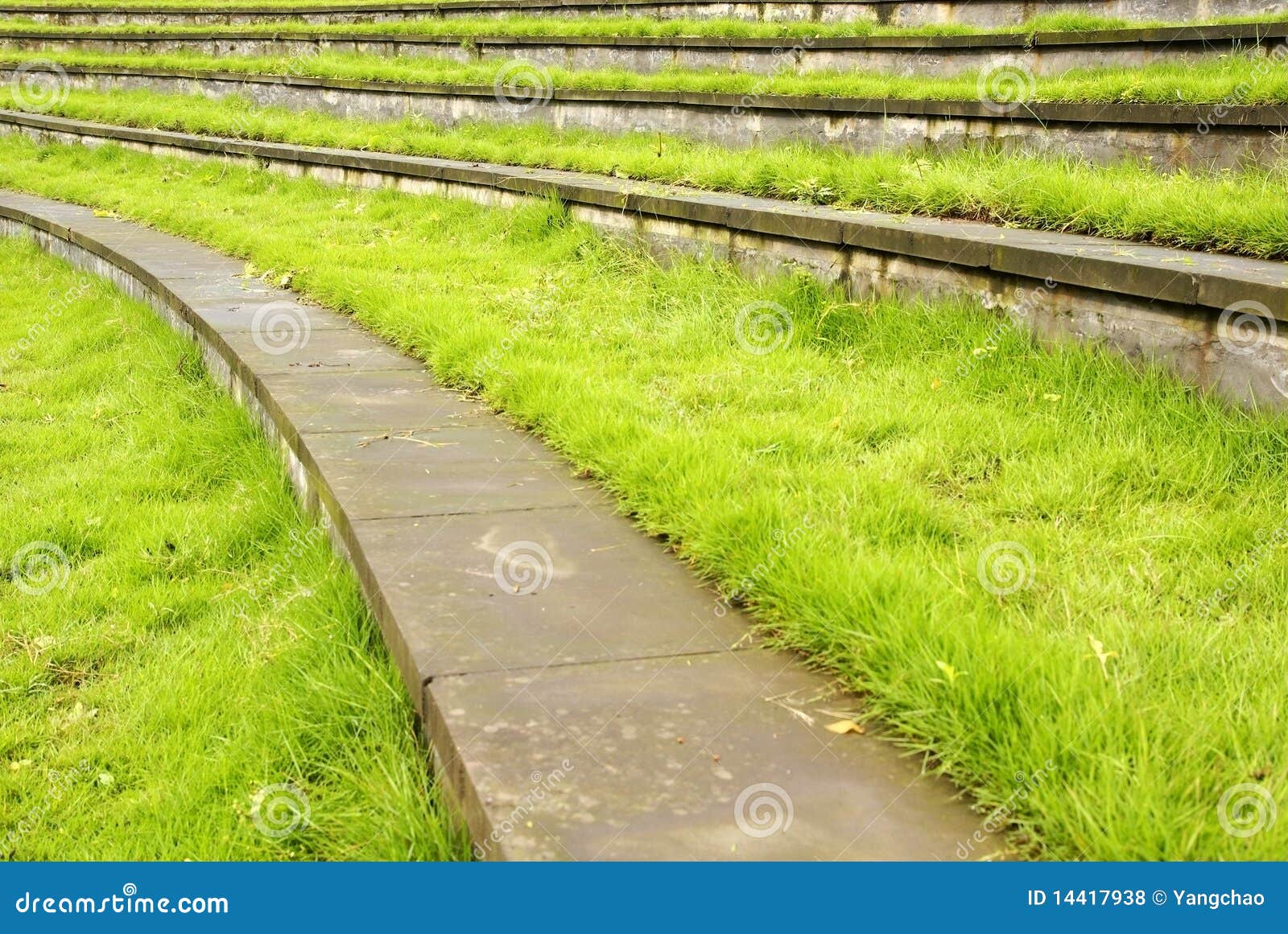 Grass lawn with steps stock photo. Image of park, footstep - 14417938