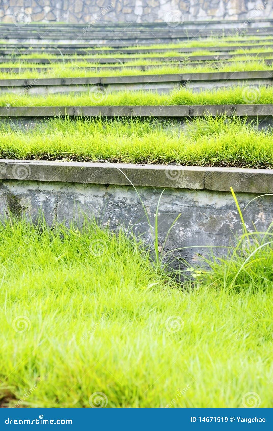 Grass lawn with steps stock image. Image of garden, spring - 14671519