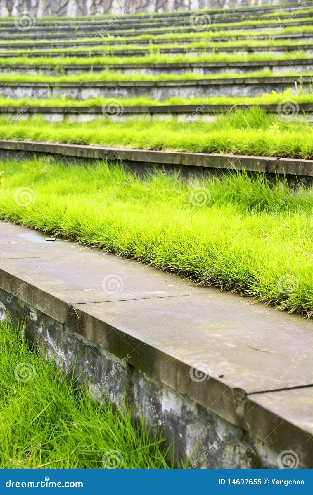Grass lawn with steps stock image. Image of terrace, botanical - 14697655