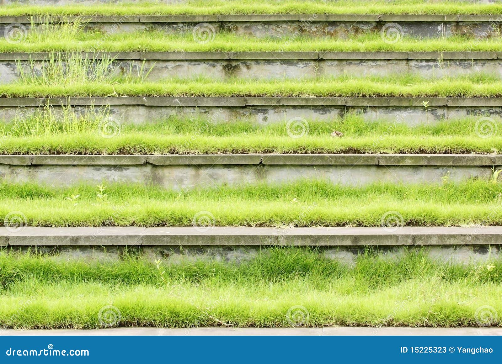 Grass lawn with steps stock image. Image of botanical - 15225323