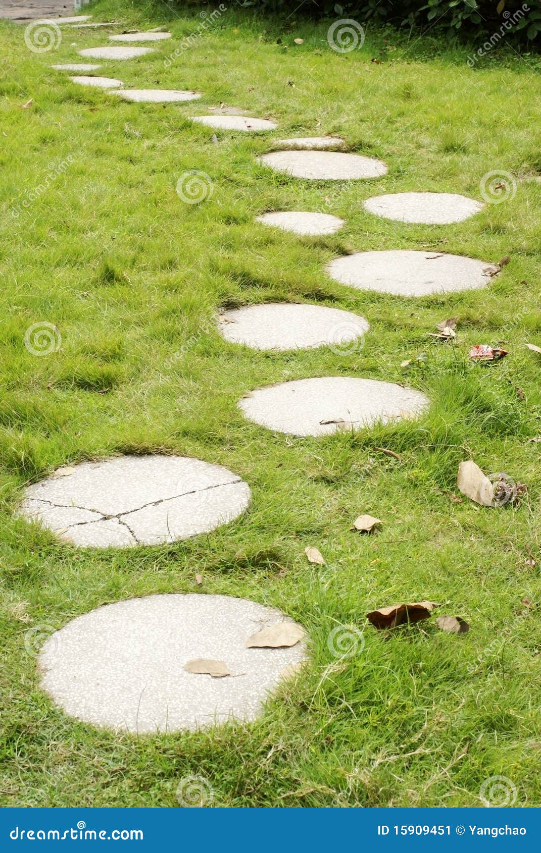 Grass lawn with steps stock image. Image of grass, grassplot - 15909451