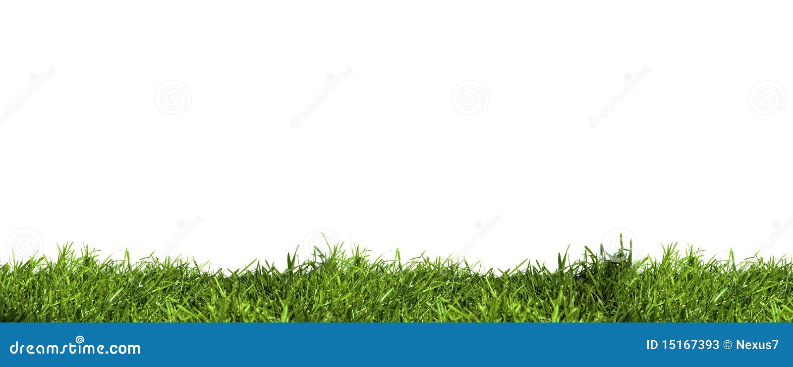 Grass Layer stock image. Image of field, spring, texture - 15167393