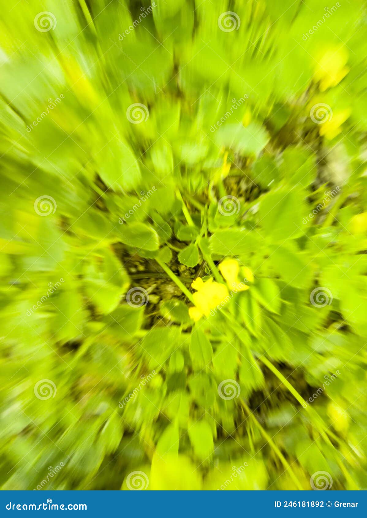Grass Leaves Zoom in Effect Stock Photo - Image of bright, outdoor ...