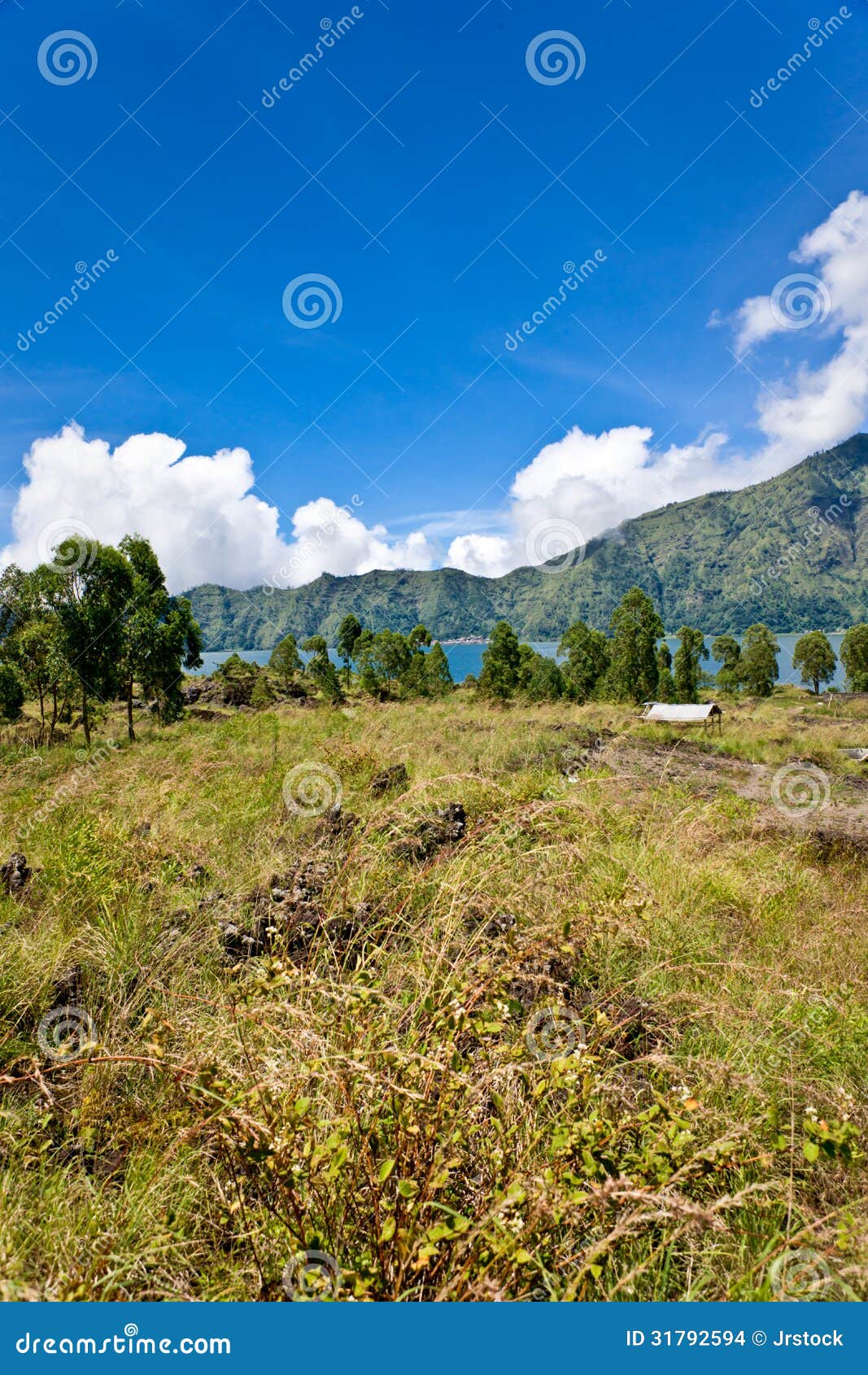 Grass ledge and ocean stock photo. Image of hill, valley - 31792594