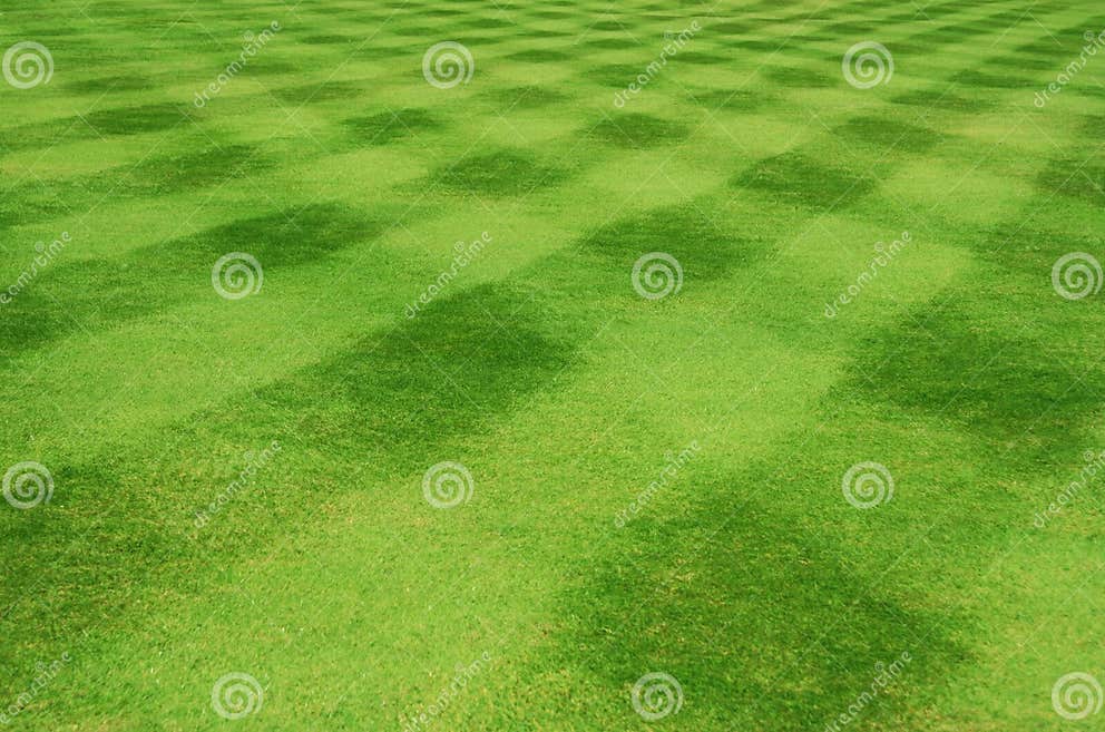 Grass lines stock image. Image of passage, symbol, form - 3005845