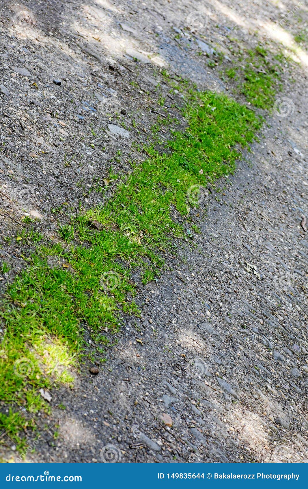Grass Lines Macro Abstract Background Stock Photo - Image of ...