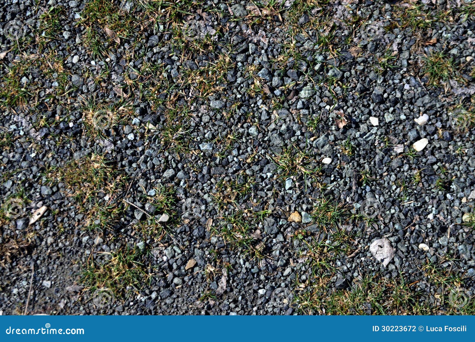 Grass stones texture stock photo. Image of little, nature - 30223672