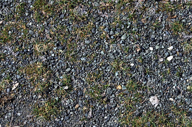 Grass stones texture stock photo. Image of little, nature - 30223672