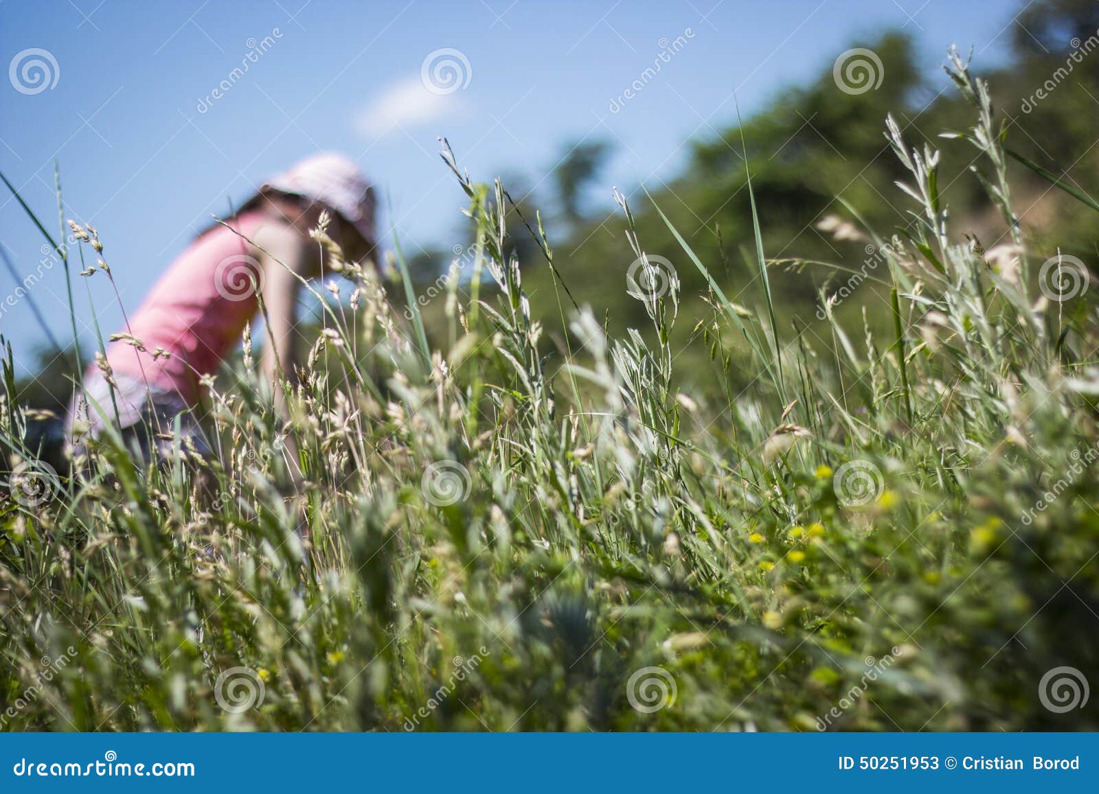 Grass Low Angle View, Girl in the Background Blurred Stock Image ...