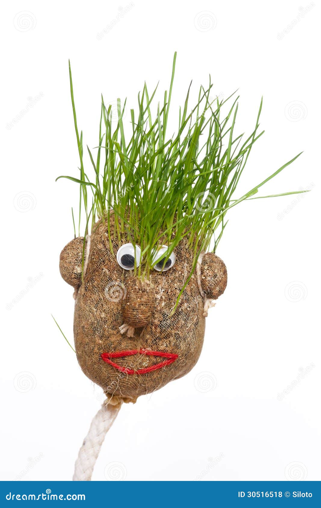 Grass man stock photo. Image of straw, grass, growing - 30516518