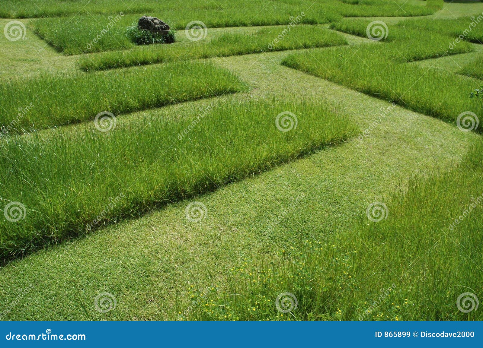 Grass maze 2 stock image. Image of lost, greenery, maze - 865899