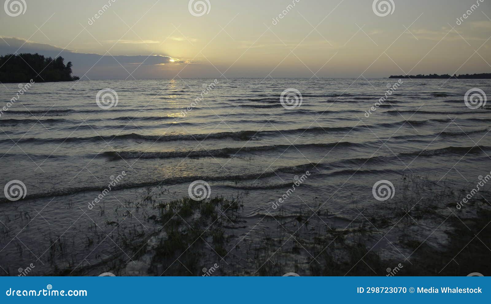 Grass and Mud in Shallow Water with Sunset. Creative Stock Photo ...