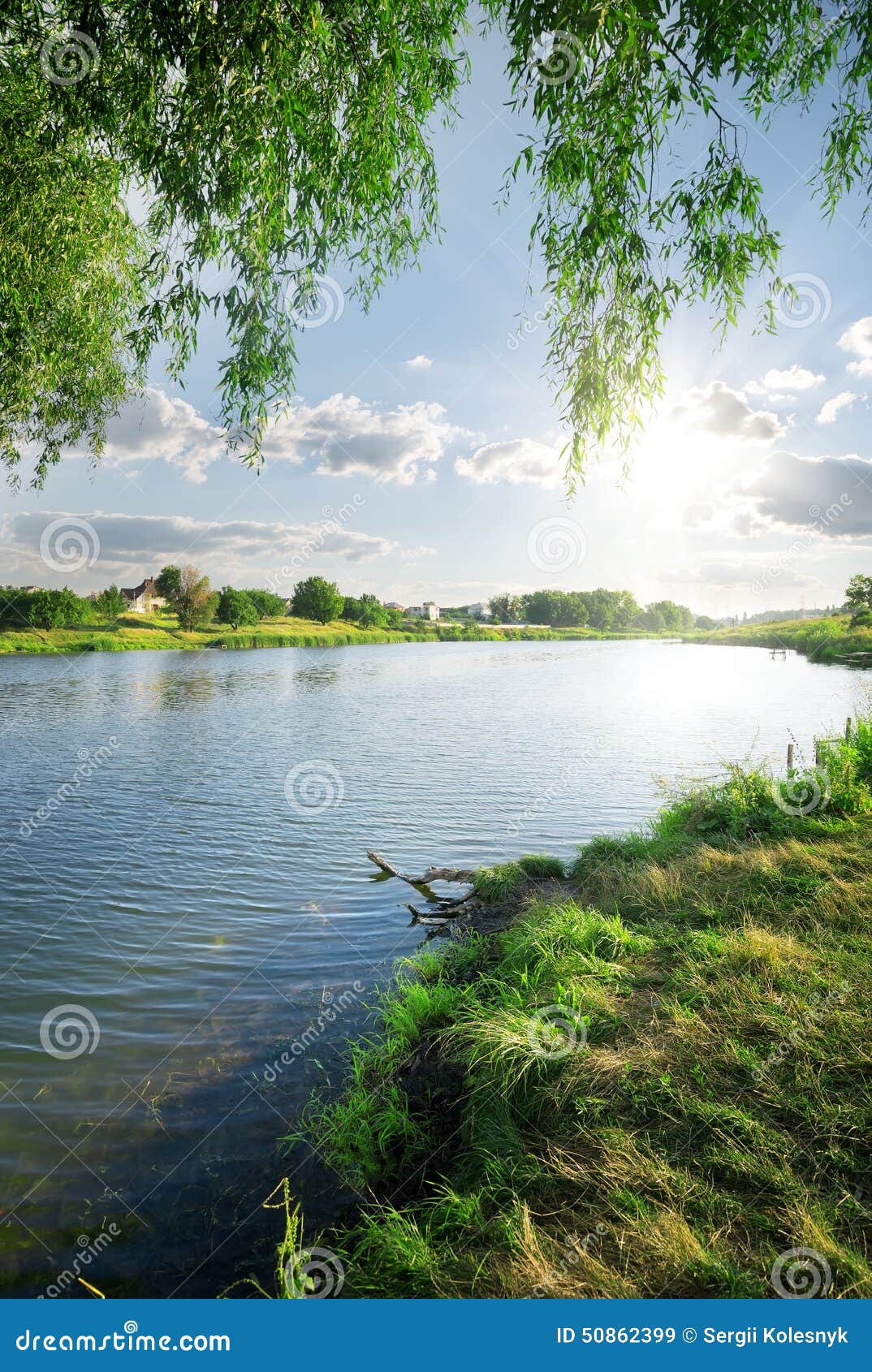 Grass near river stock image. Image of pond, beautiful - 50862399
