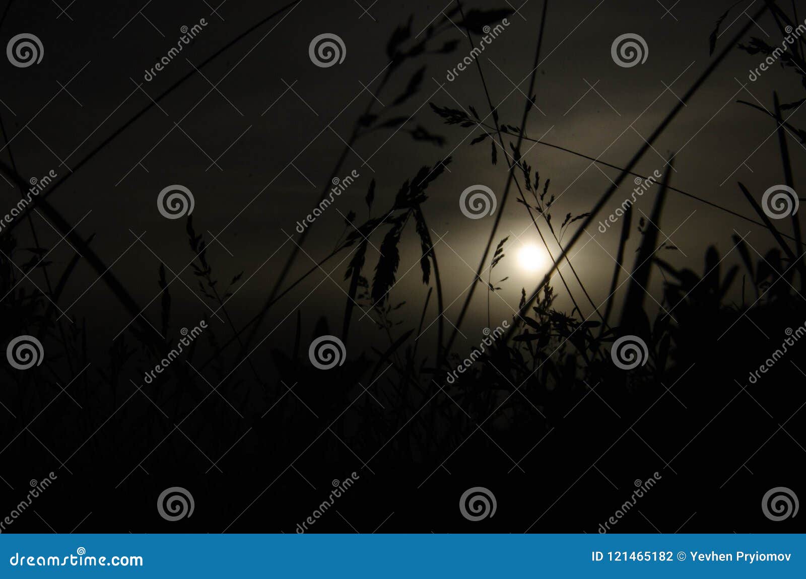 Grass in the night stock photo. Image of wallpaper, night - 121465182