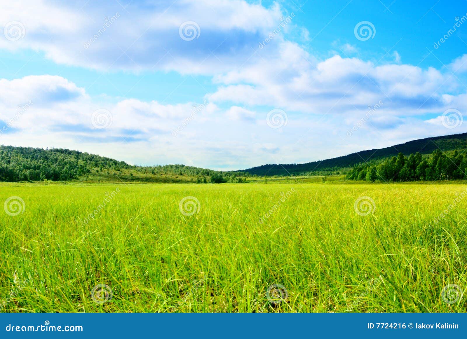 Grass and north mountain stock photo. Image of horizon - 7724216