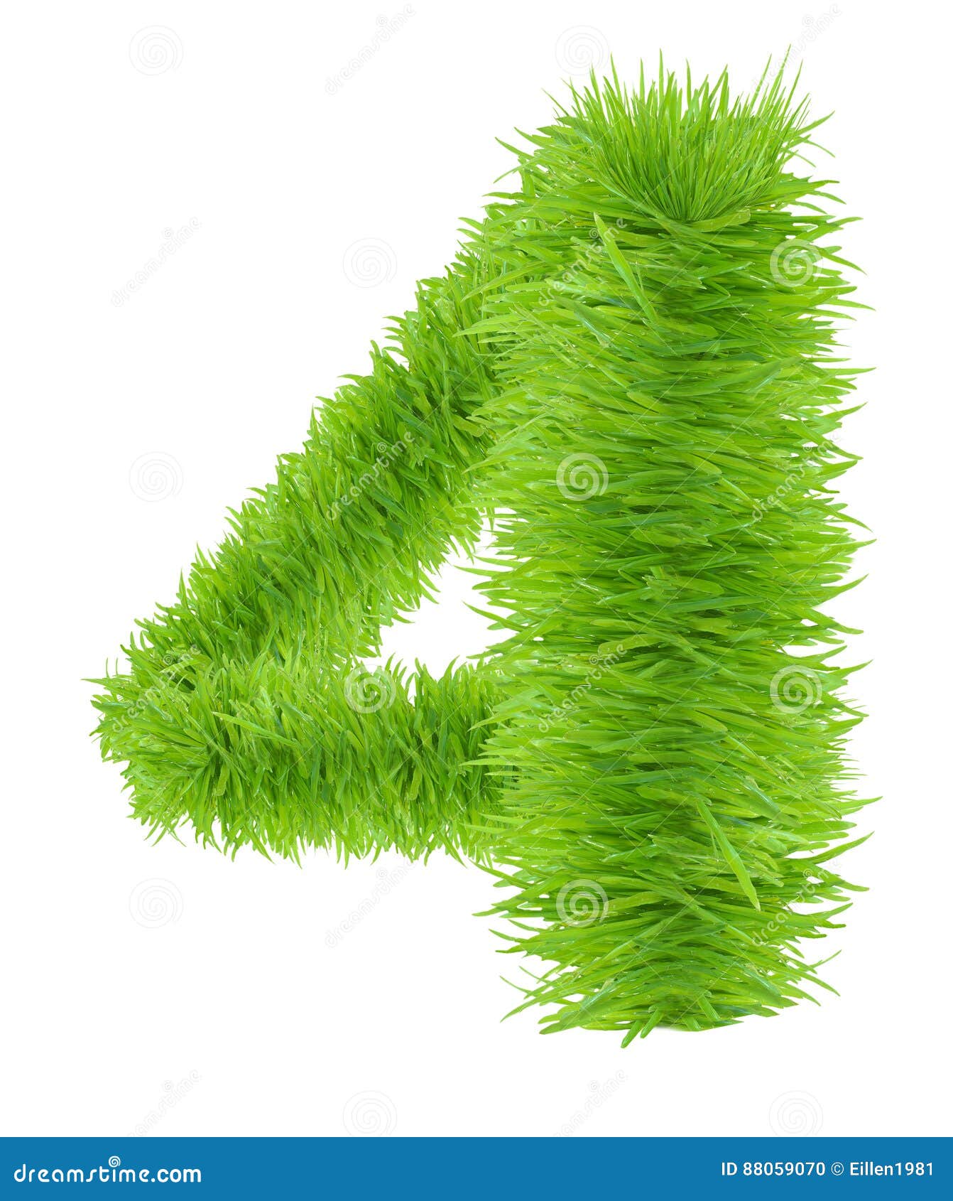 A Grass Number Four Isolated on a White Background Stock Illustration ...