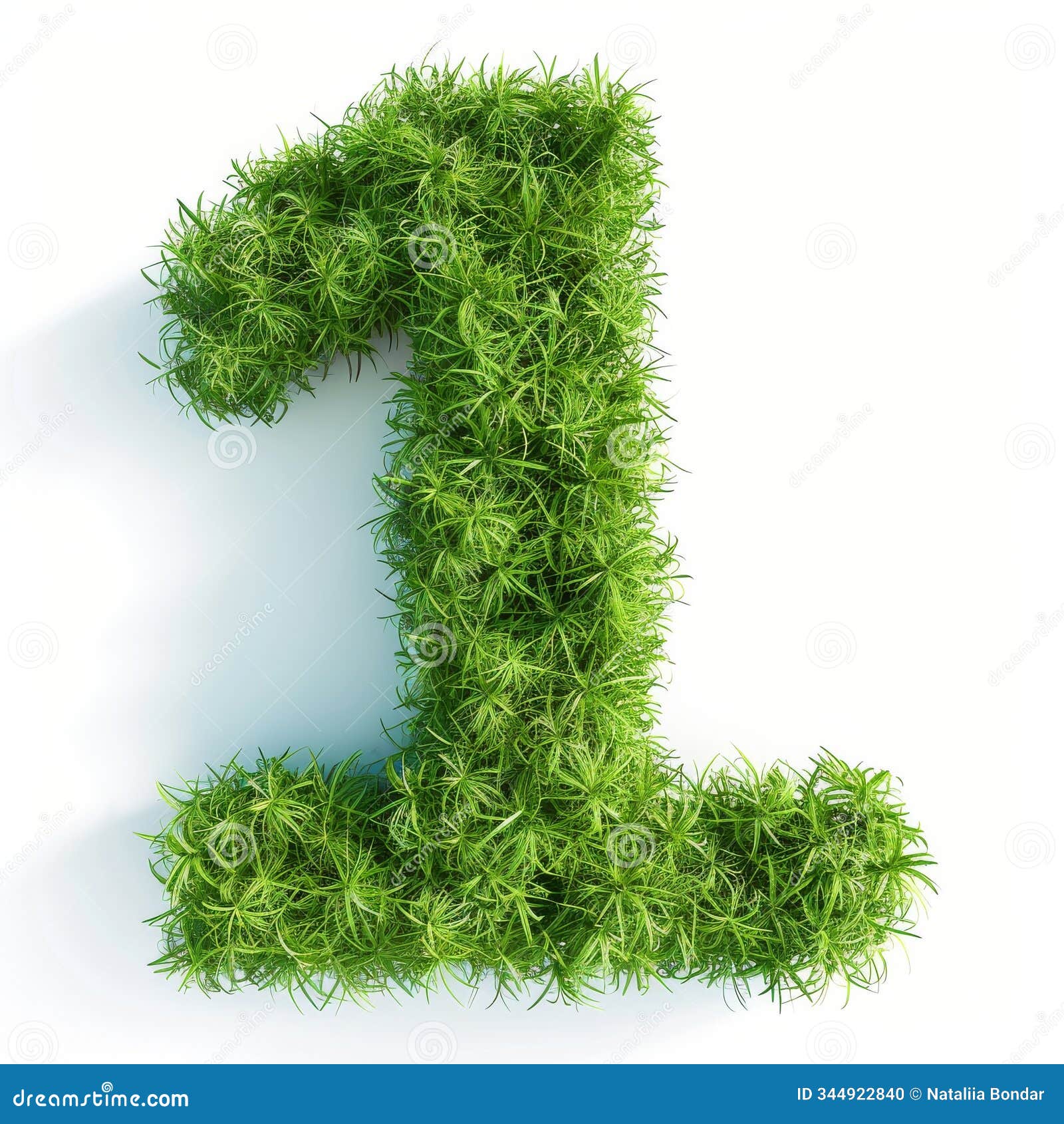 Grass Number One Isolated on Transparent Background. Green Foliage ...