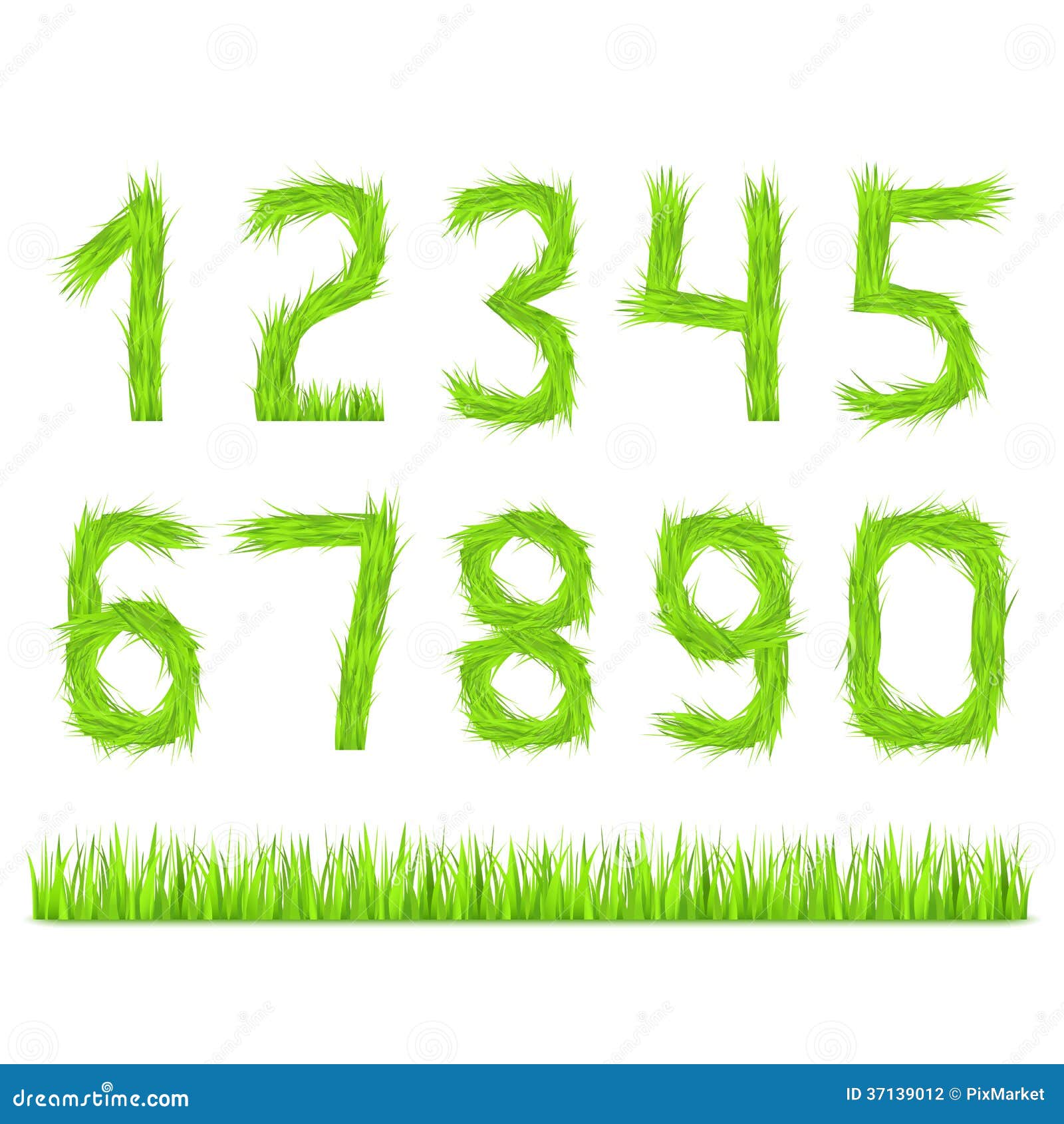 Grass Numbers stock vector. Illustration of plant, isolated - 37139012
