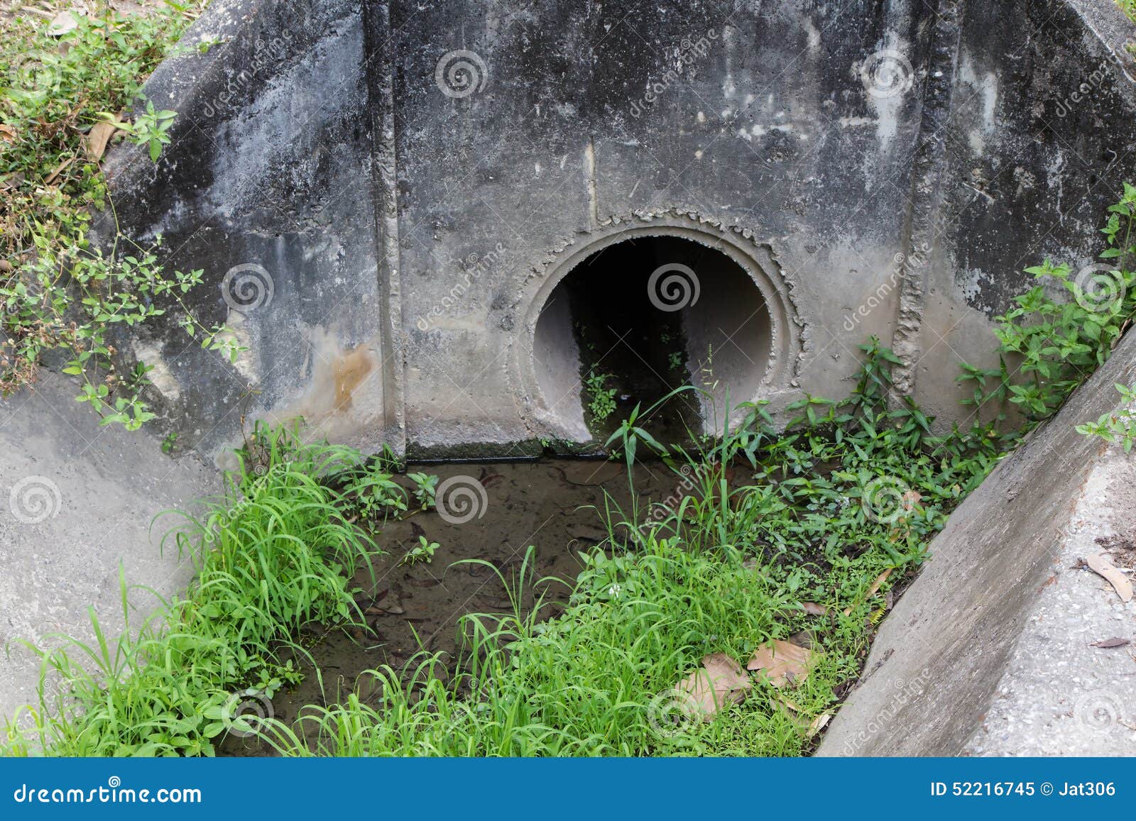 Grass in Old Drainage Channel Stock Image - Image of irrigation, water ...