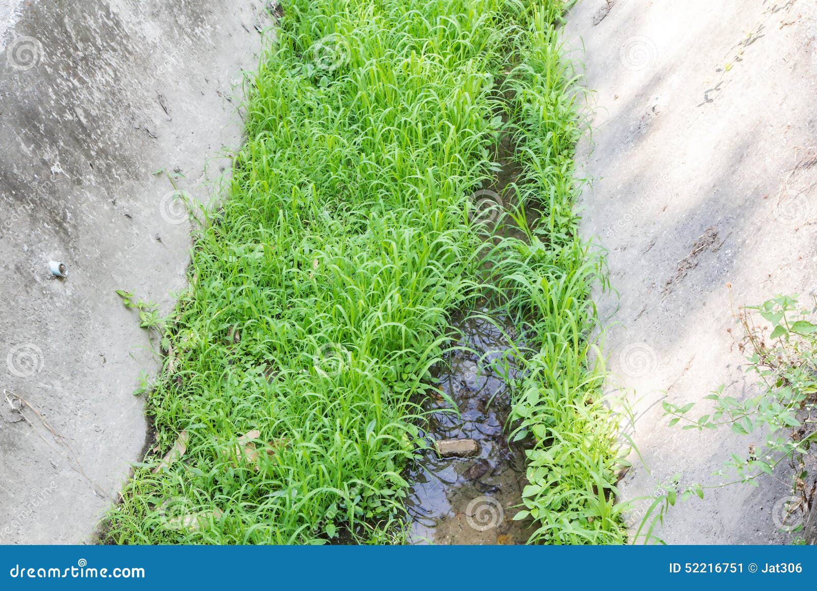 Grass in Old Drainage Channel Stock Image - Image of industrial, piled ...
