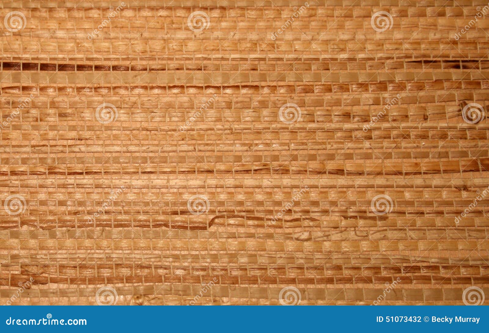 Grass And Sky On Paper Texture Stock Photo | CartoonDealer.com #20774424