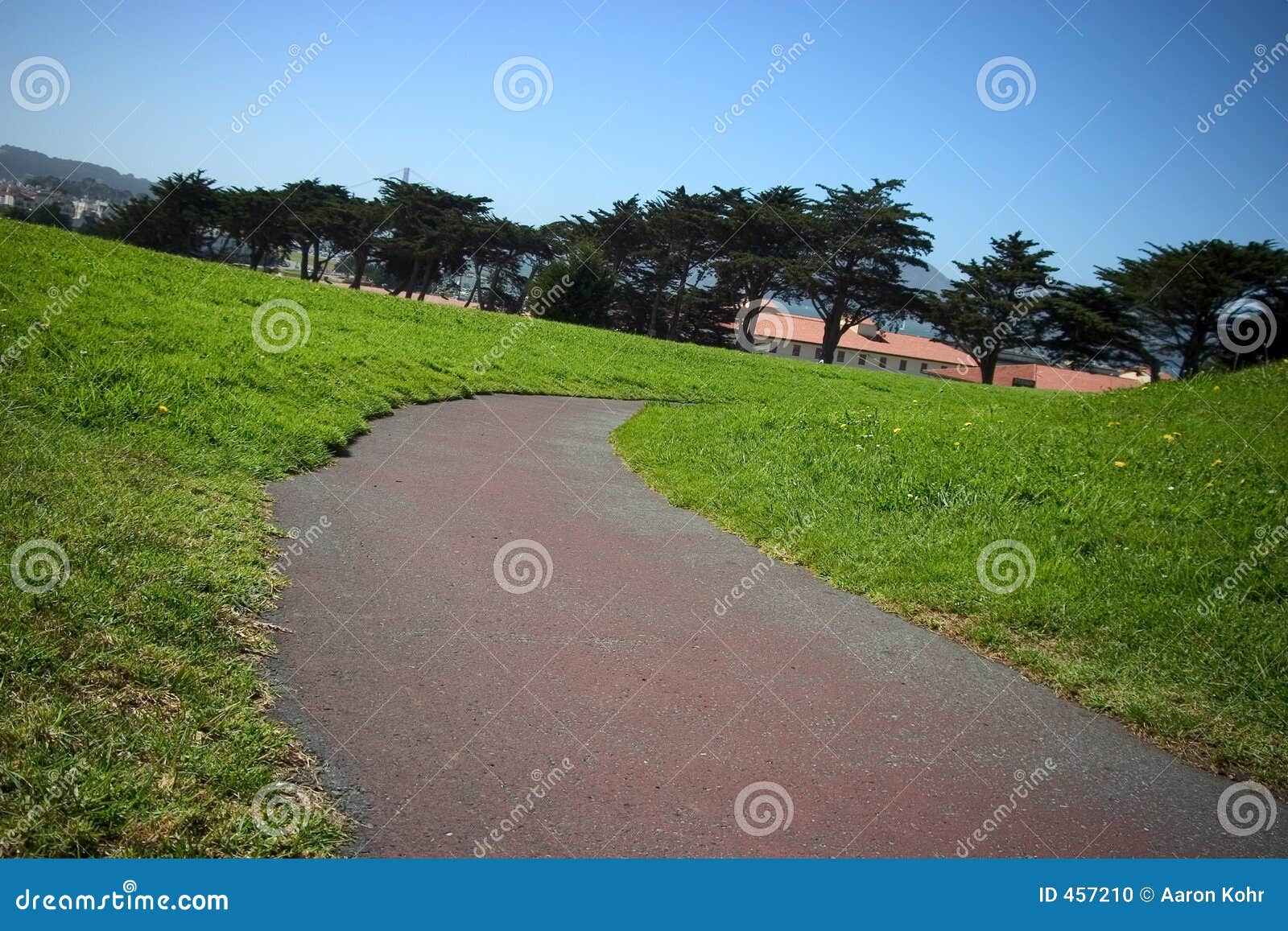 Grass Path #1 stock photo. Image of destiney, walk, test - 457210