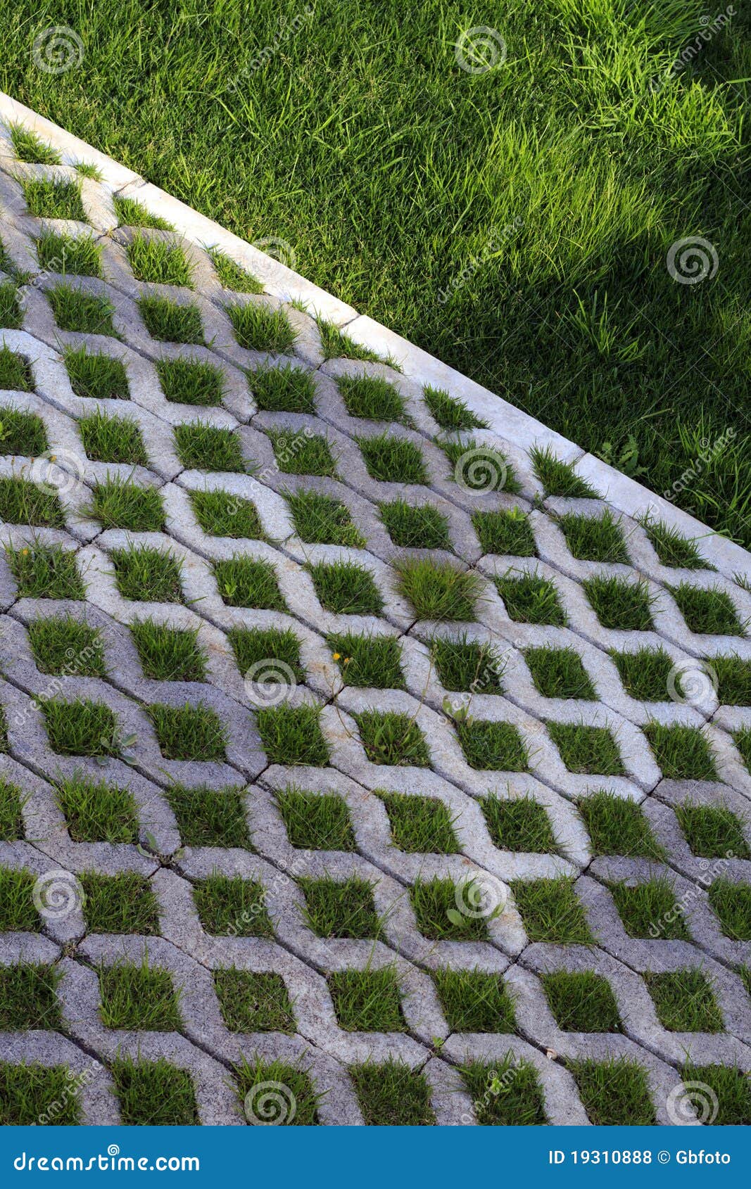 Grass path stock photo. Image of grassy, grey, concrete - 19310888