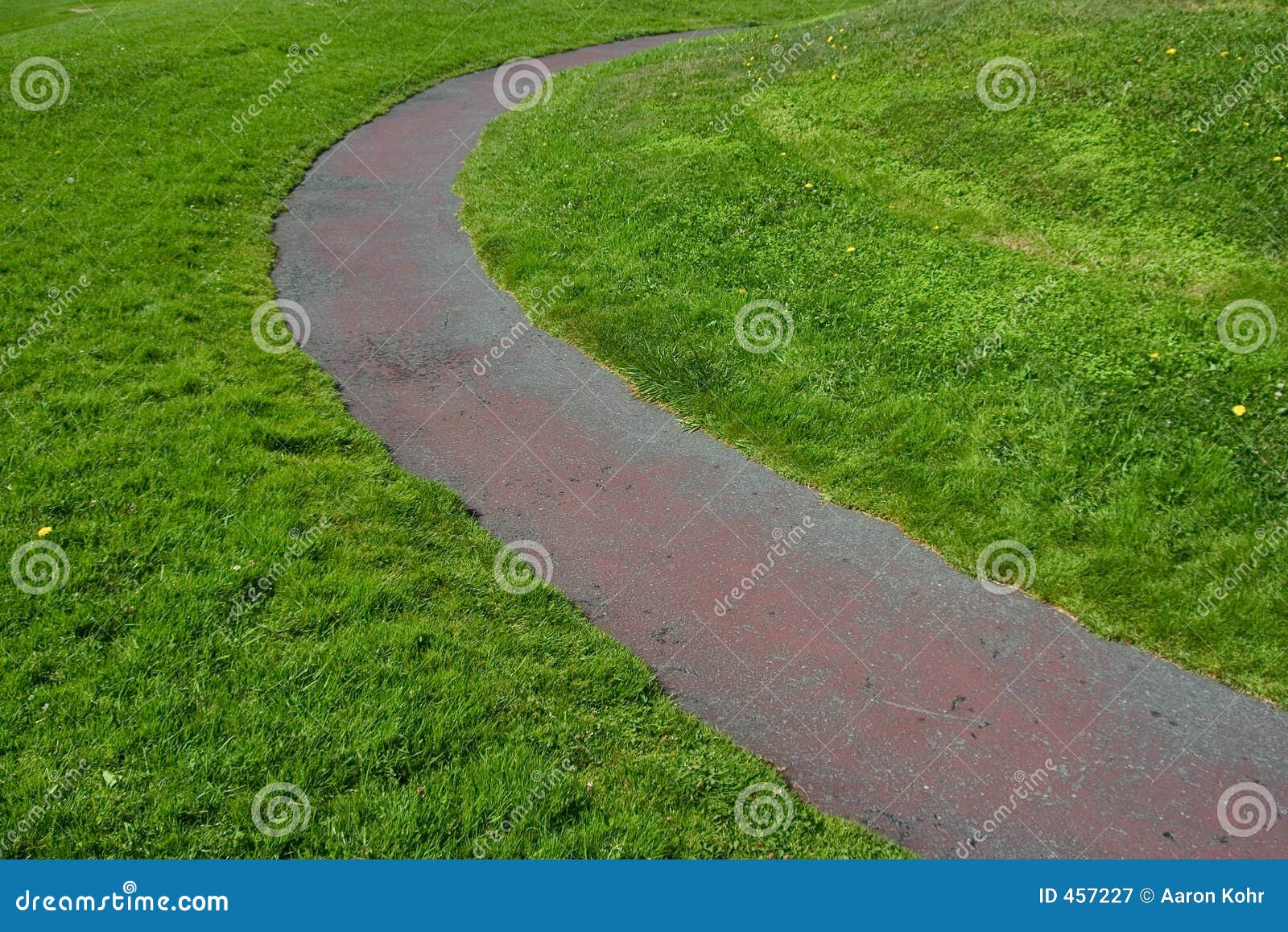 Grass Path #2 stock image. Image of field, pathway, spirit - 457227