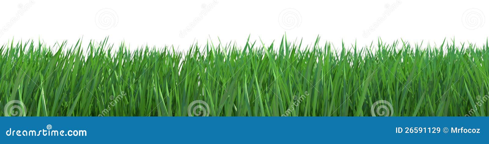 Grass with path stock illustration. Illustration of green - 26591129