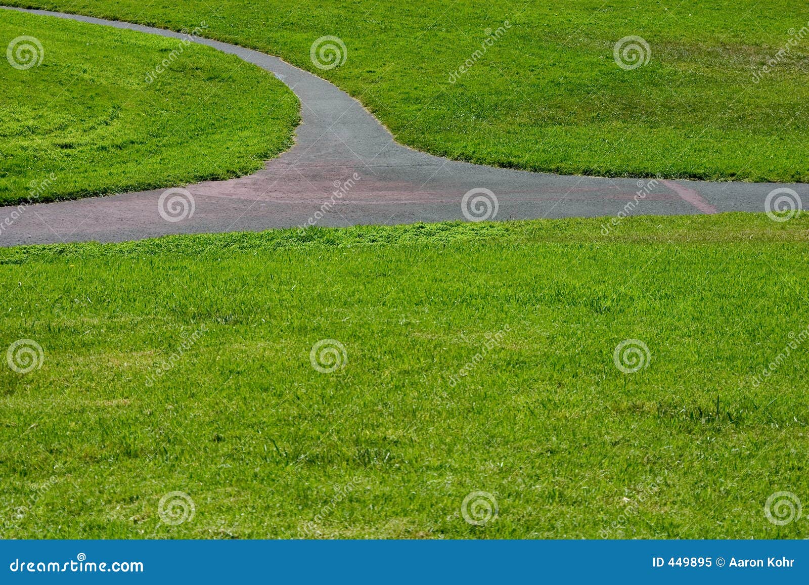 Grass Path #3 stock image. Image of choice, park, destiney - 449895