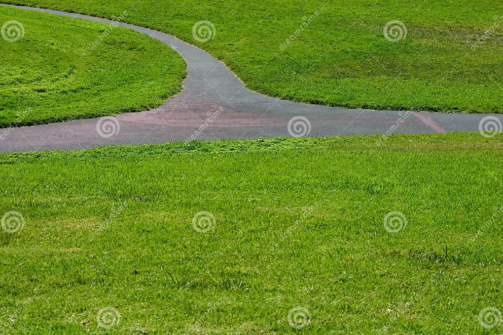 Grass Path #3 stock image. Image of choice, park, destiney - 449895
