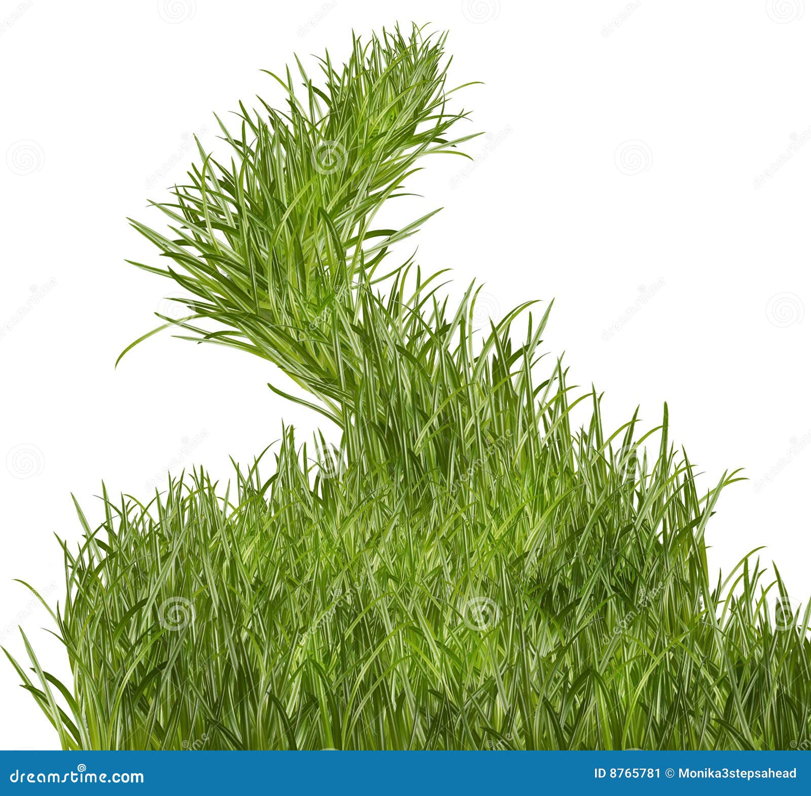 8K Grass Path Roughness Texture, Height Map Or Specular For ...