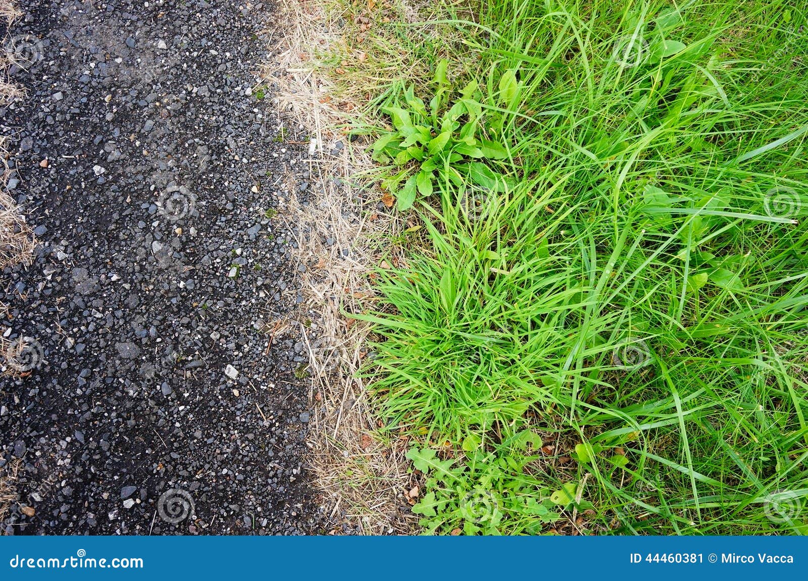 Grass and path stock image. Image of grass, path, herb - 44460381