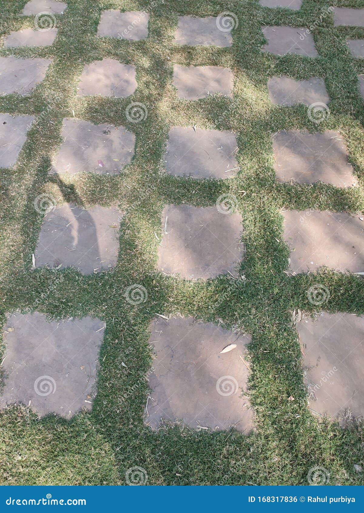 Grass and path texture stock photo. Image of stonetexture - 168317836