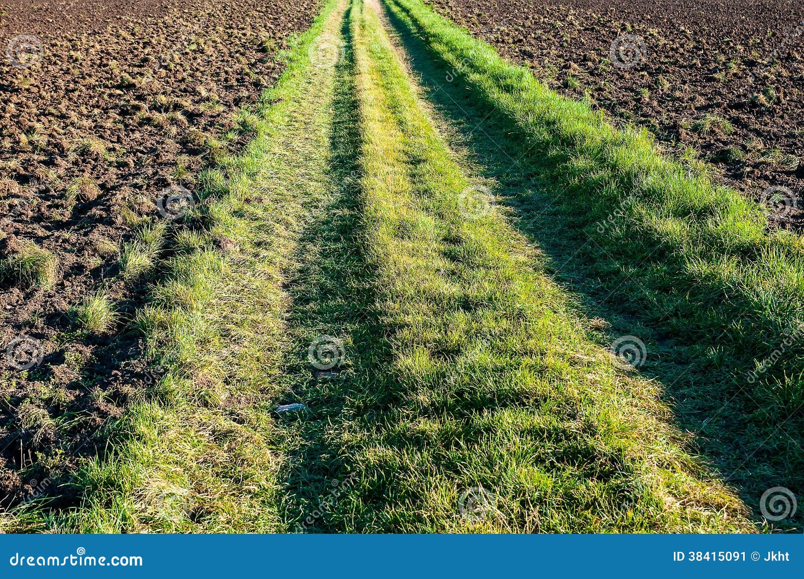 Grass path trough field stock image. Image of field, grass - 38415091