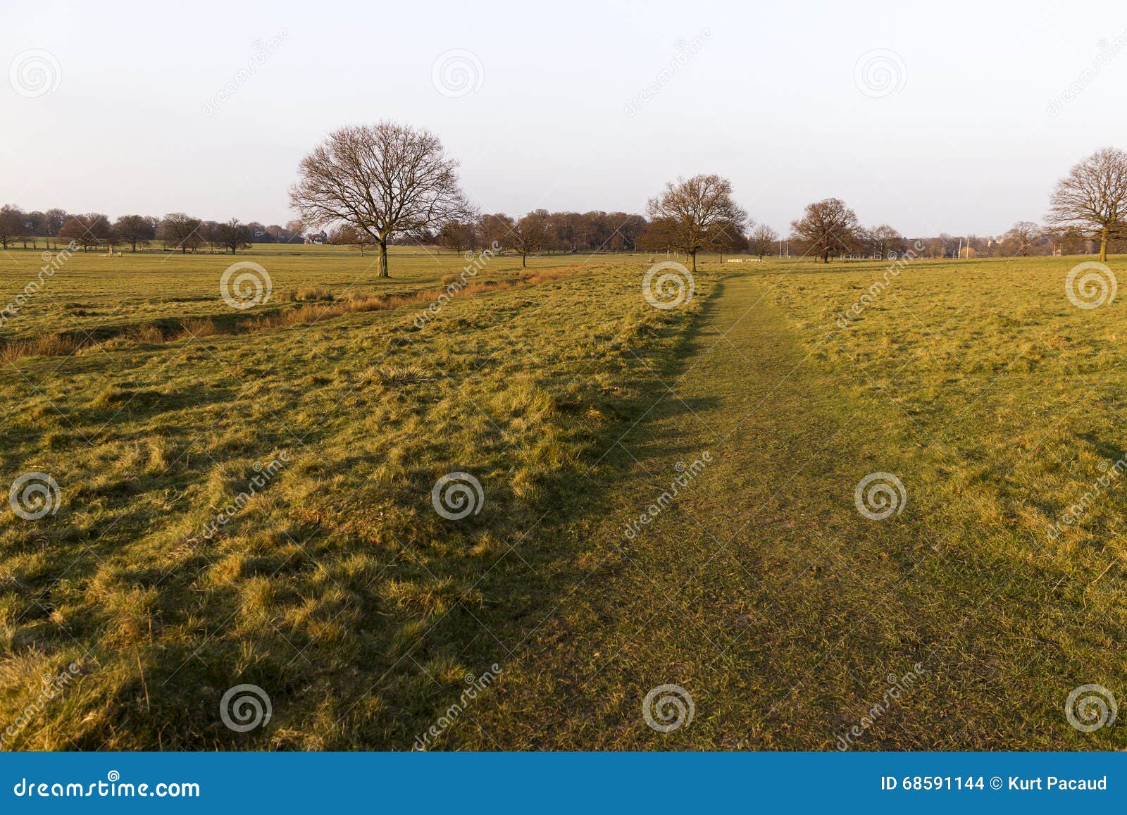 Grass pathway in a field stock photo. Image of park, field - 68591144