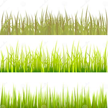 Grass pattern set vector stock vector. Illustration of element - 9172776