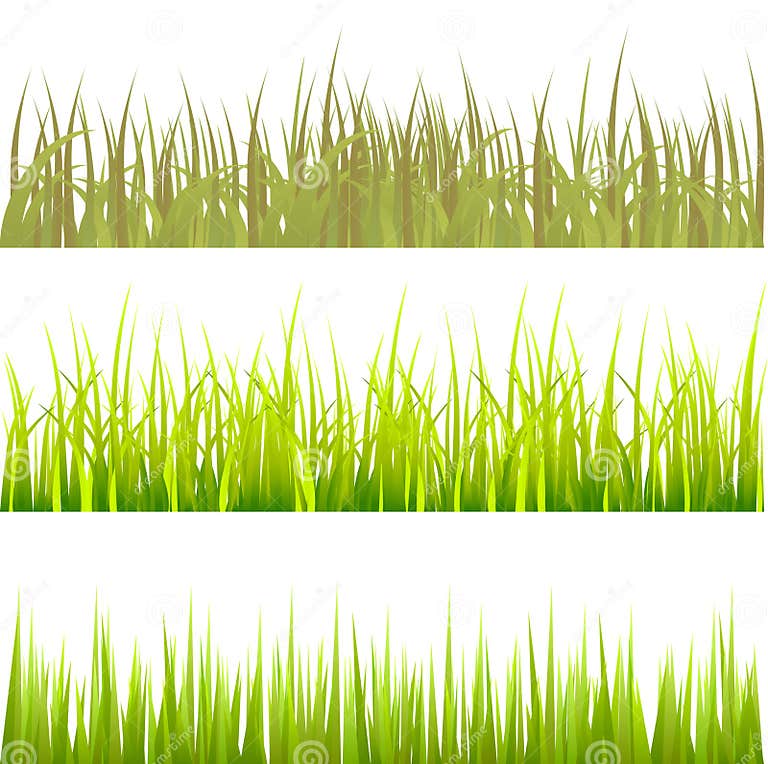 Grass pattern set vector stock vector. Illustration of element - 9172776