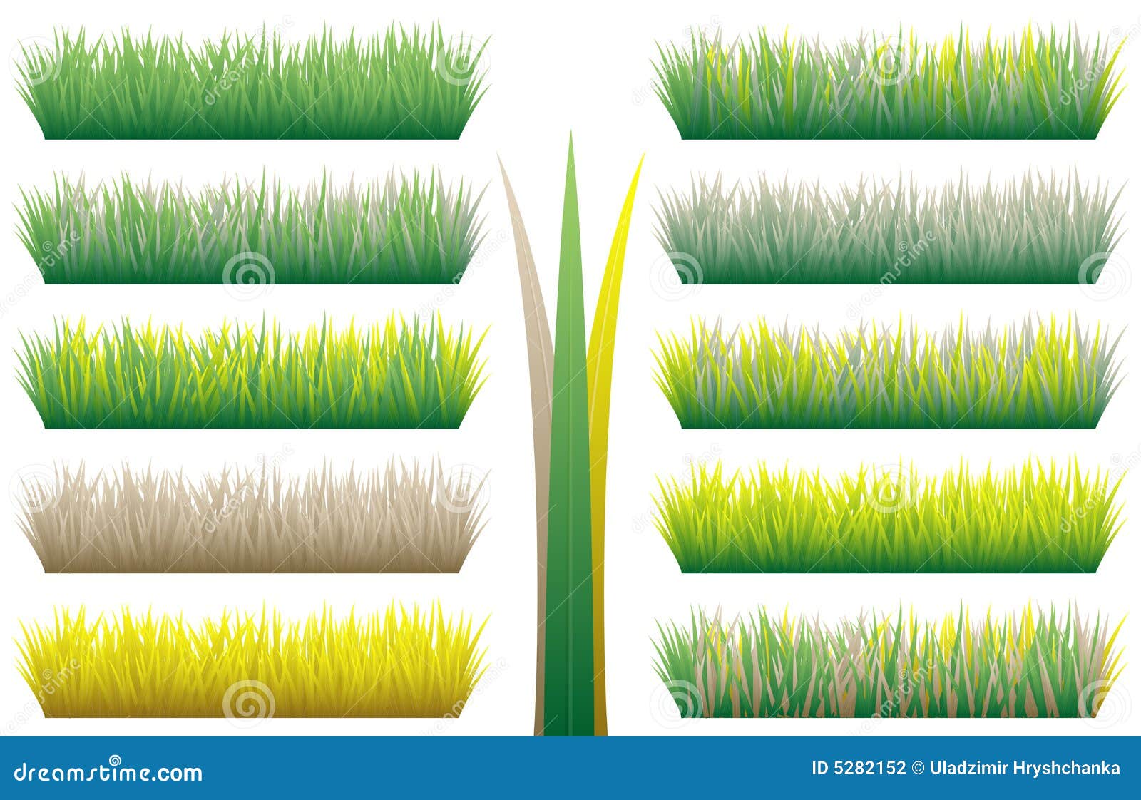 Grass patterns stock vector. Illustration of gardening - 5282152