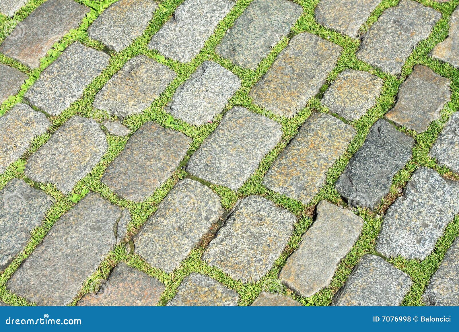 Grass pavement stock photo. Image of cobblestones, cobbling - 7076998