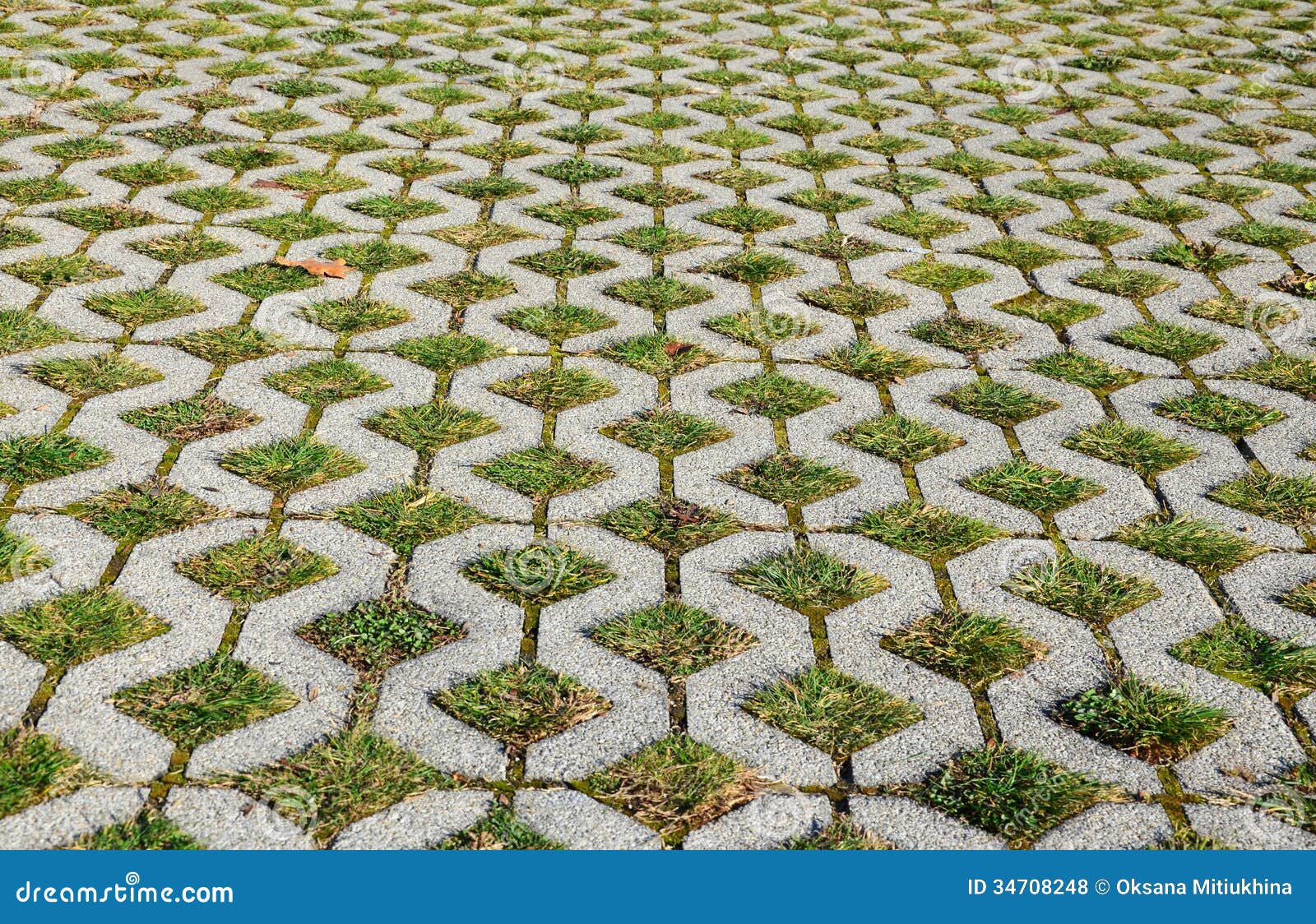 Grass pavement stock photo. Image of surface, covered - 34708248
