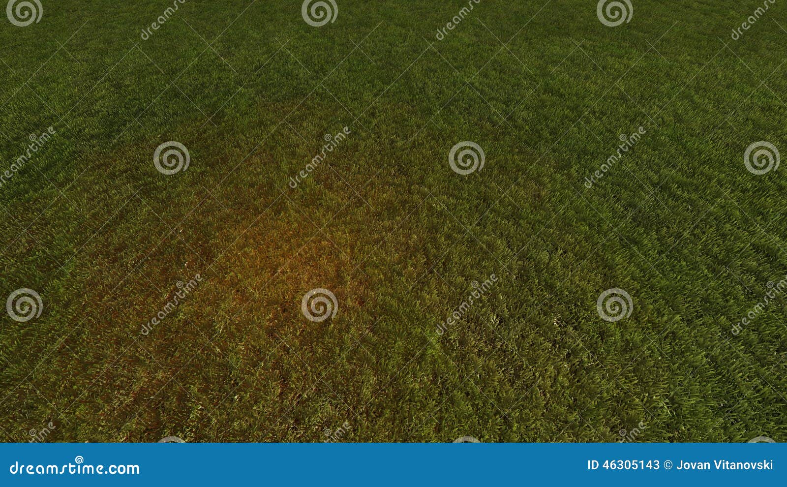 Grass stock illustration. Illustration of space, pattern - 46305143