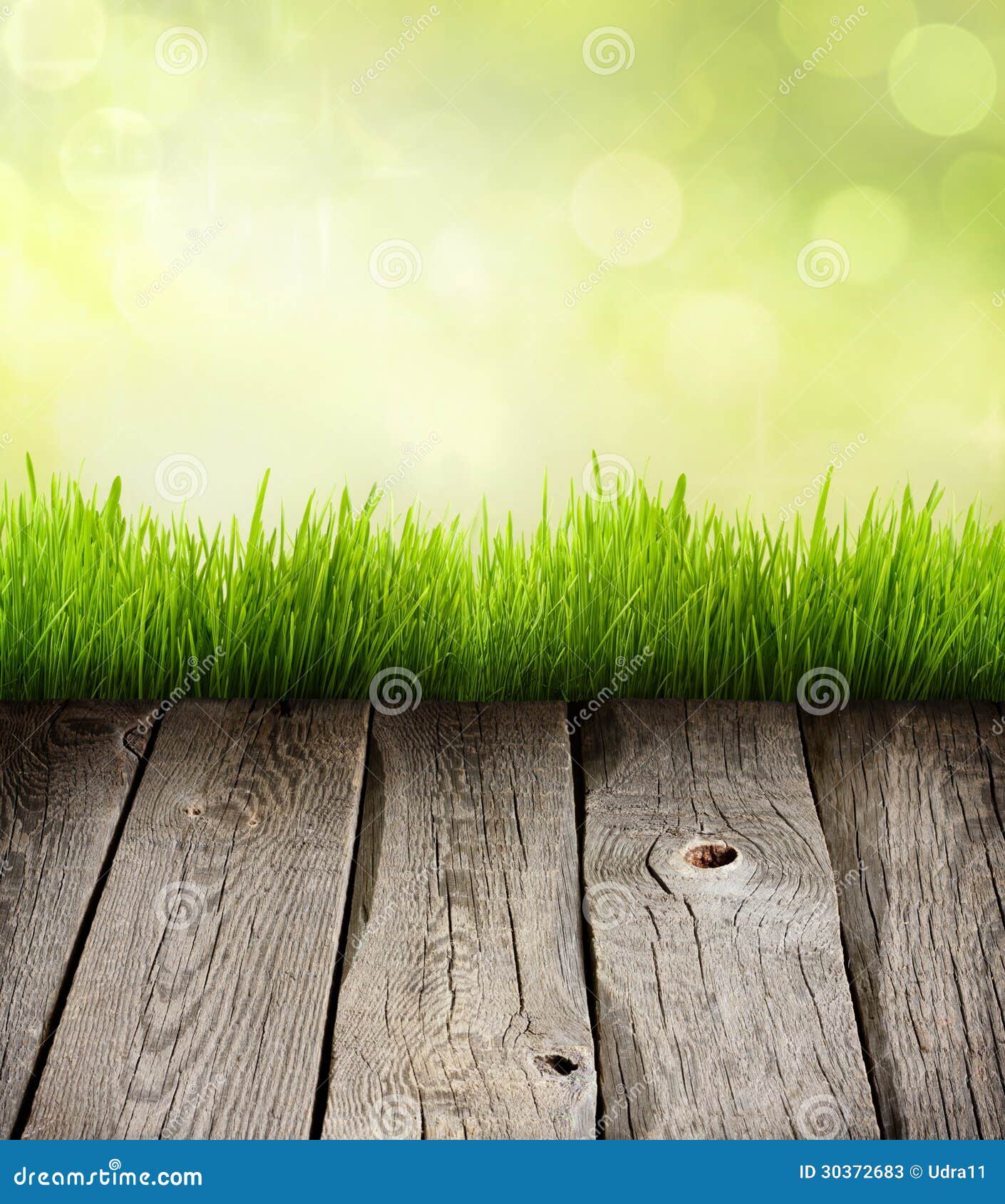 Grass and Planks Abstract Background Stock Image - Image of meadow ...