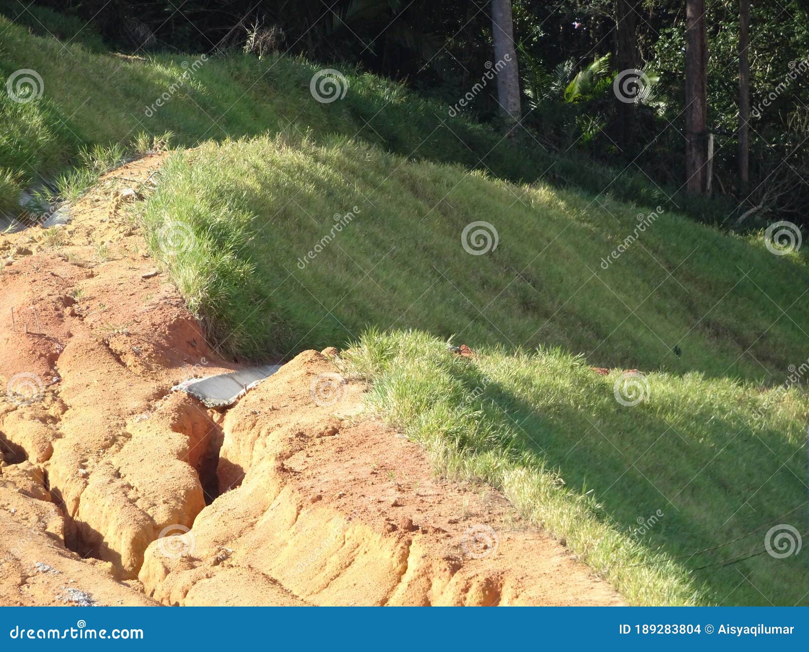 The Grass Is Planted To Prevent Erosion Of The Soil Slope. Stock ...