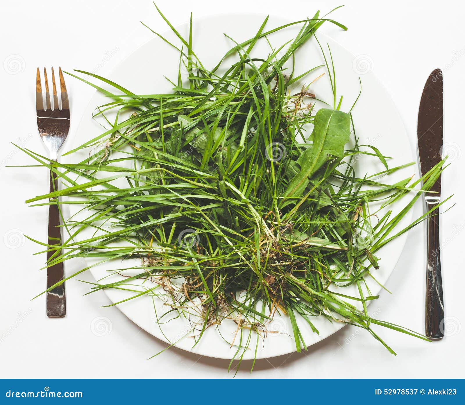 Grass plate stock image. Image of leaves, health, salad - 52978537