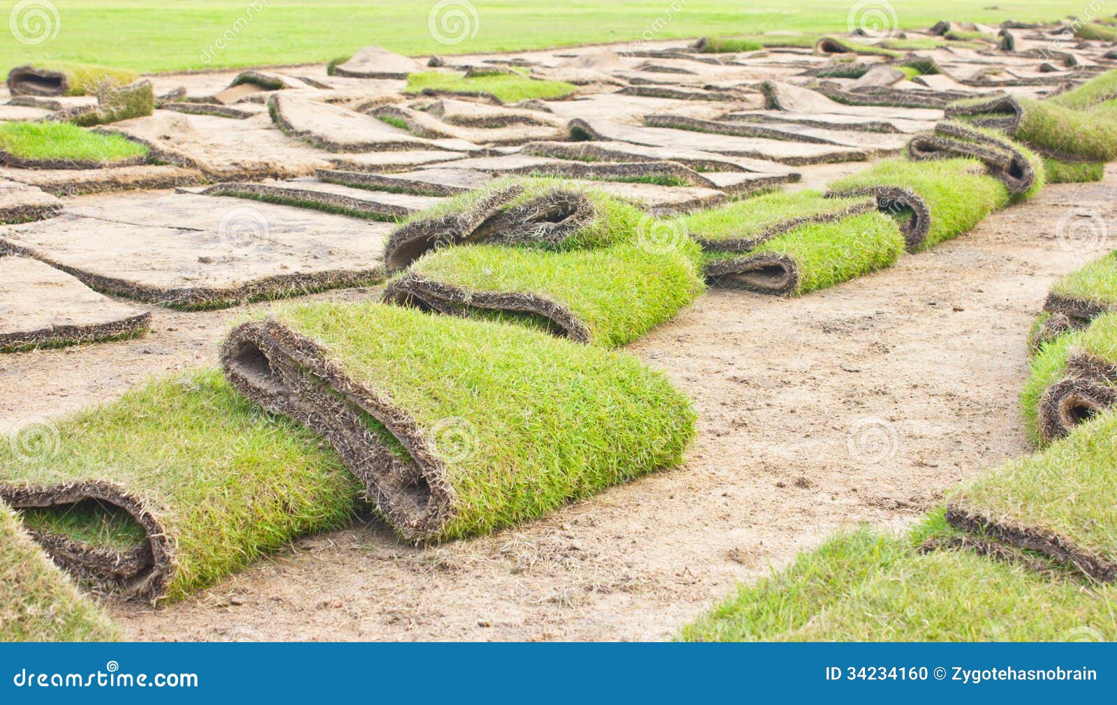 Grass-plot for New Lawn. stock photo. Image of cluttered - 34234160