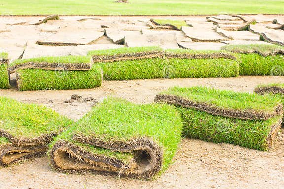 Grass-plot for New Lawn. stock image. Image of construct - 34234195